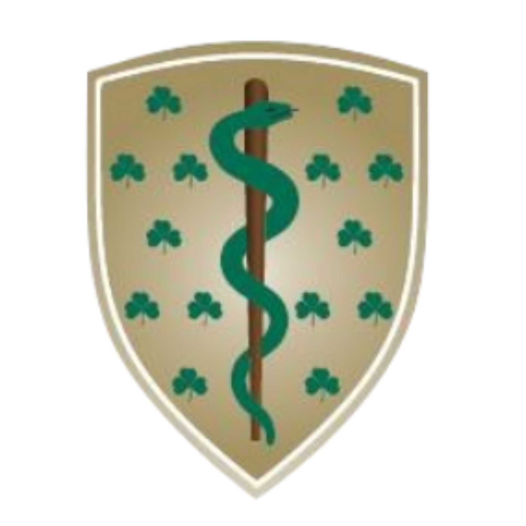 Get Your Medical Certificate Online In 30 Minutes